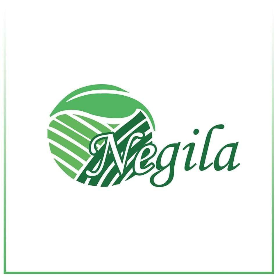 مشروعات الشركة - شمارة للانشاءات الرياضية والمقاولات العامة